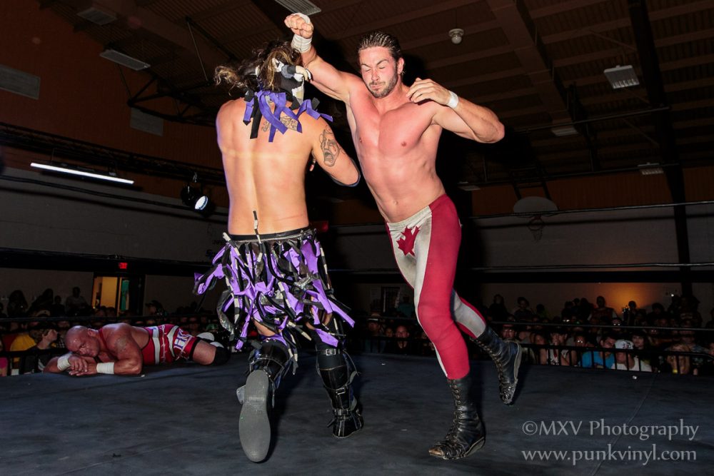Pro Wrestling Blitz: Wrestlefest 8/10/13 – The Punk Vault